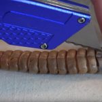 Skalpelom rasjekao zmiji zvečarki rep, pogledajte samo šta se nalazi ...